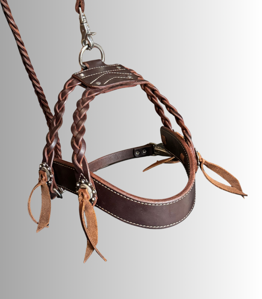 Braided Leather Dog Harness & Lead Set - Lambright Leather Company